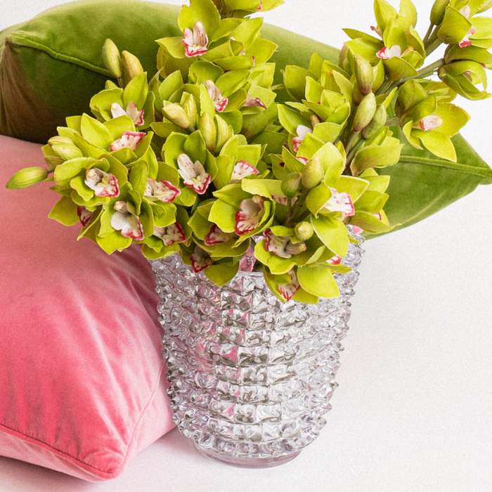 Julia Vase - Clear Glass - Natalie Jayne Interiors